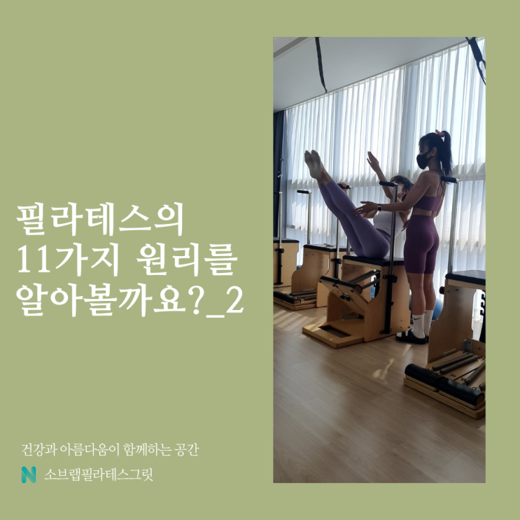 필라테스의 11가지 원리를 알아볼까요 위례필라테스그릿 네이버 블로그