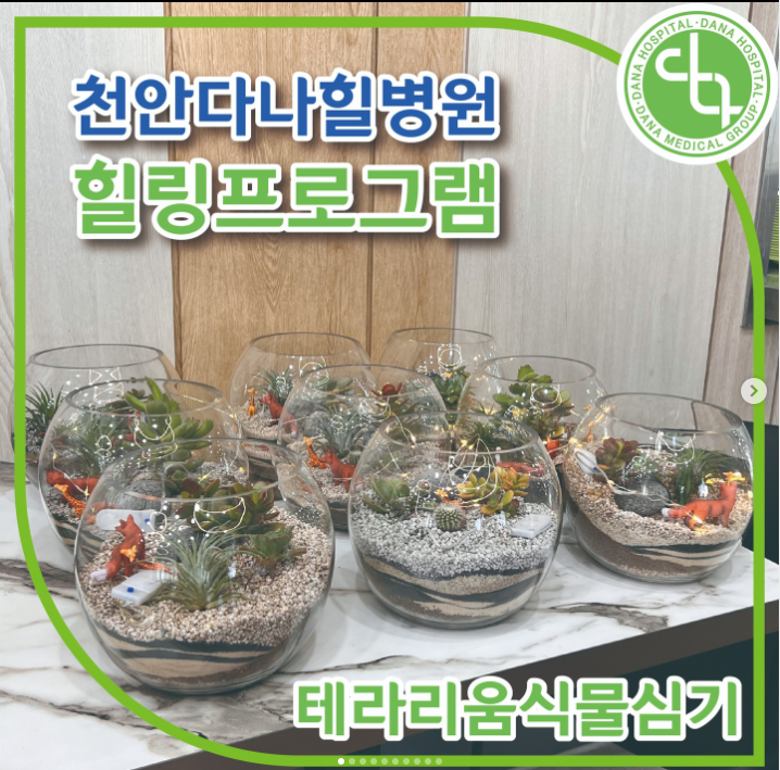 암환우 프로그램 천안다나힐병원 암환자 힐링프로그램 테라리움 원예활동 원예치료 암환자프로그램 천안암병원 천안암전문천안