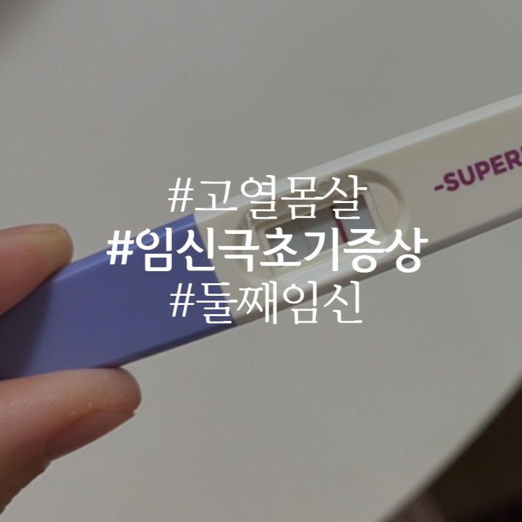 임신 극초기 증상 고열 몸살 오한 밑빠진 느낌 네이버 블로그