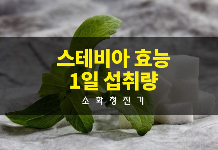 스테비아 효능 및 하루 섭취량 참고 네이버 블로그