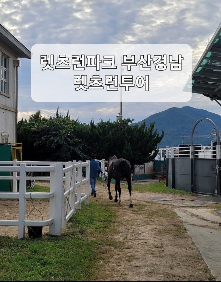 렛츠런파크 부산경남 아이들과 렛츠런투어 체험 네이버 블로그