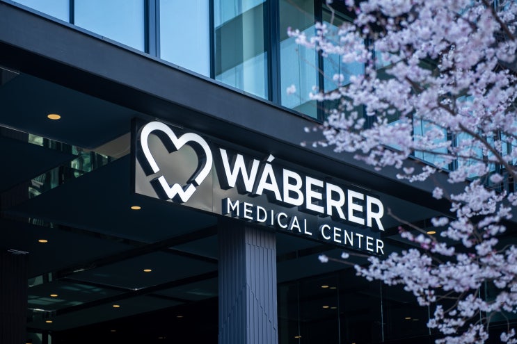 {부다페스트 병원} WABERER 의료 센터 일반병원 진료예약 : 네이버 블로그