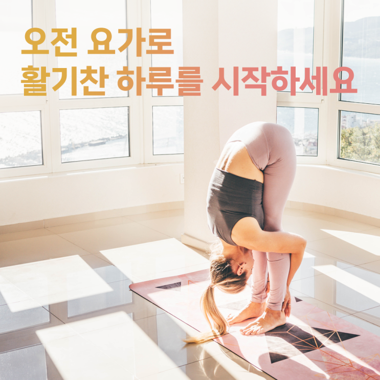 은평구 요가 아트요가 구파발에서 오전 요가로 활기찬 하루를 시작하세요 네이버 블로그