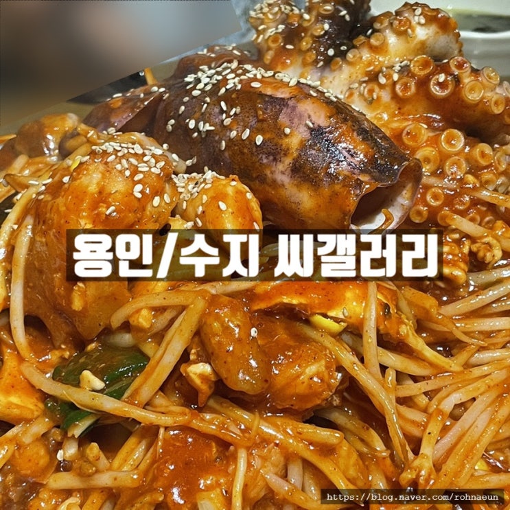 용인수지성복동 씨갤러리 성복역 해물찜 맛집 추천🦀 위치메뉴가격 네이버 블로그