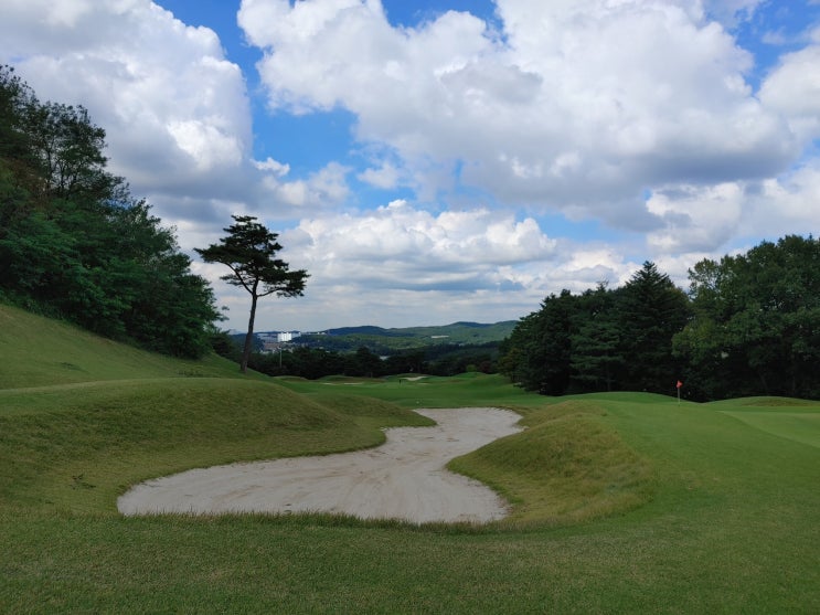 골프 용인 남사면 창리 골프존카운티 한림용인cc구 레이크힐스 용인cc 라운딩221007 네이버 블로그
