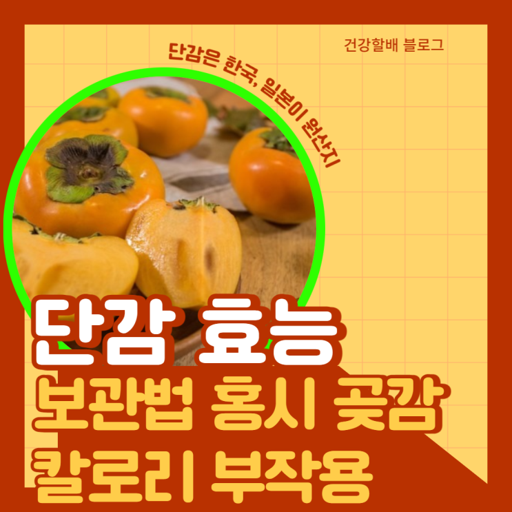 단감 효능 보관법 홍시 곶감 효능 칼로리 부작용 네이버 블로그