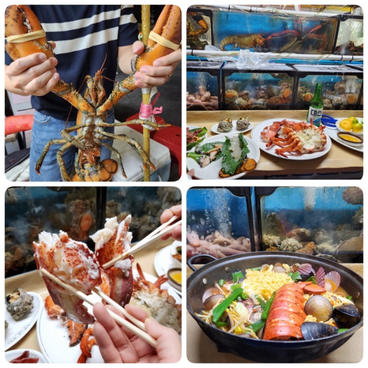 부산 해운대 포장마차촌 갈매기 12호 랍스터 코스 내돈내산 네이버 블로그