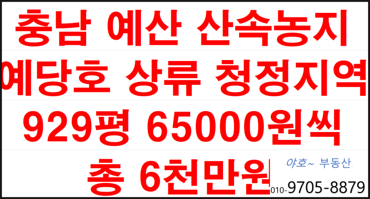 예당호 상류 충남 예산 산속 싼 농지 929평 65000원씩 6천만원 자연인용 경영체등록용 주말농장용 귀농용 귀촌용 부동산 토지