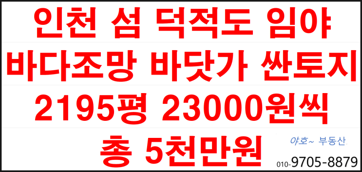 인천 섬 덕적도 싼 급매물 임야 서포리 해변 2195평 23000원씩 총 5천만원 부동산 토지 투자 땅 매매 인천시 옹진군