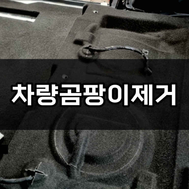 청주내부세차 차량 곰팡이 제거 주스쏟았을때 특수세차 과정 네이버 블로그