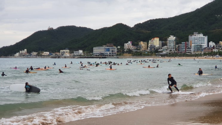 부산 송정기장 서핑의 성지 송정해수욕장 그리고 기장해변로 네이버 블로그