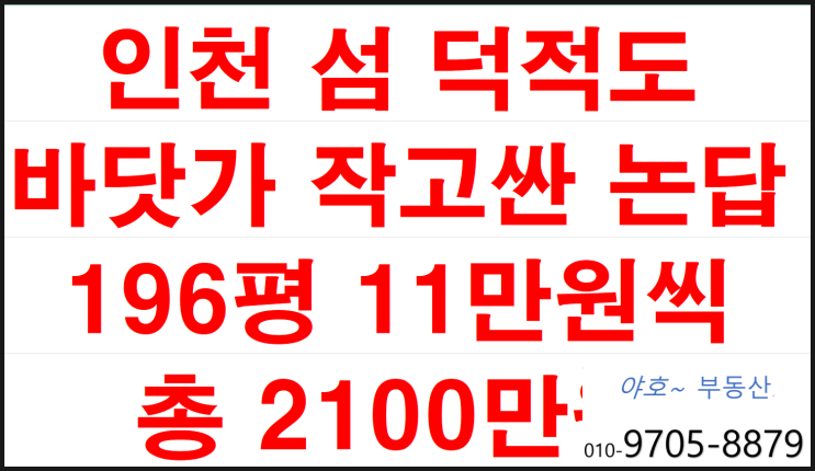 인천섬 덕적도 바닷가 바다조망 작고 싼 논답 196평 11만원씩 총 2100만원 부동산 토지 투자 땅 매매 인천시 옹진군 덕적면