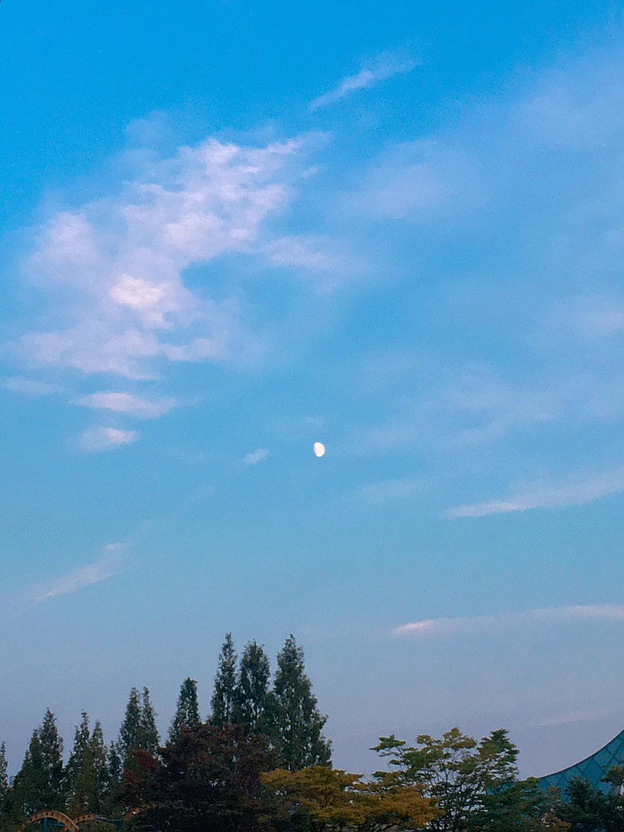 22년 10월의 일상 : 하늘이 예쁘던 날, 점심 포케, 잠실 트레비 분수, 추억의 짜장범벅, 쵸이닷 바질 가리비 파스타, 연어 ...