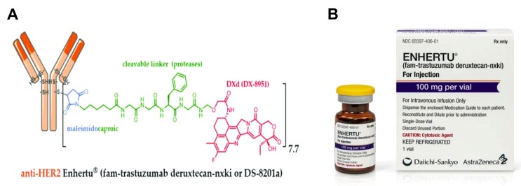HER2-저발현 전이성 유방암에서 Trastuzumab Deruxtecan의 효과 (Destiny Breast-04 trial ...