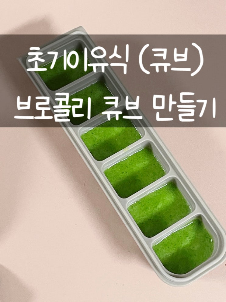 숄이 초기이유식1 큐브이유식 브로콜리 큐브 만들기 네이버 블로그