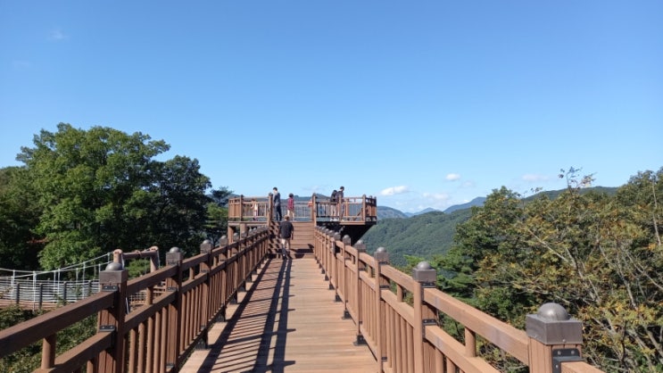 단양여행 펜션 숙박 단풍 뷰가 좋은 소백산 자연휴양림 네이버 블로그