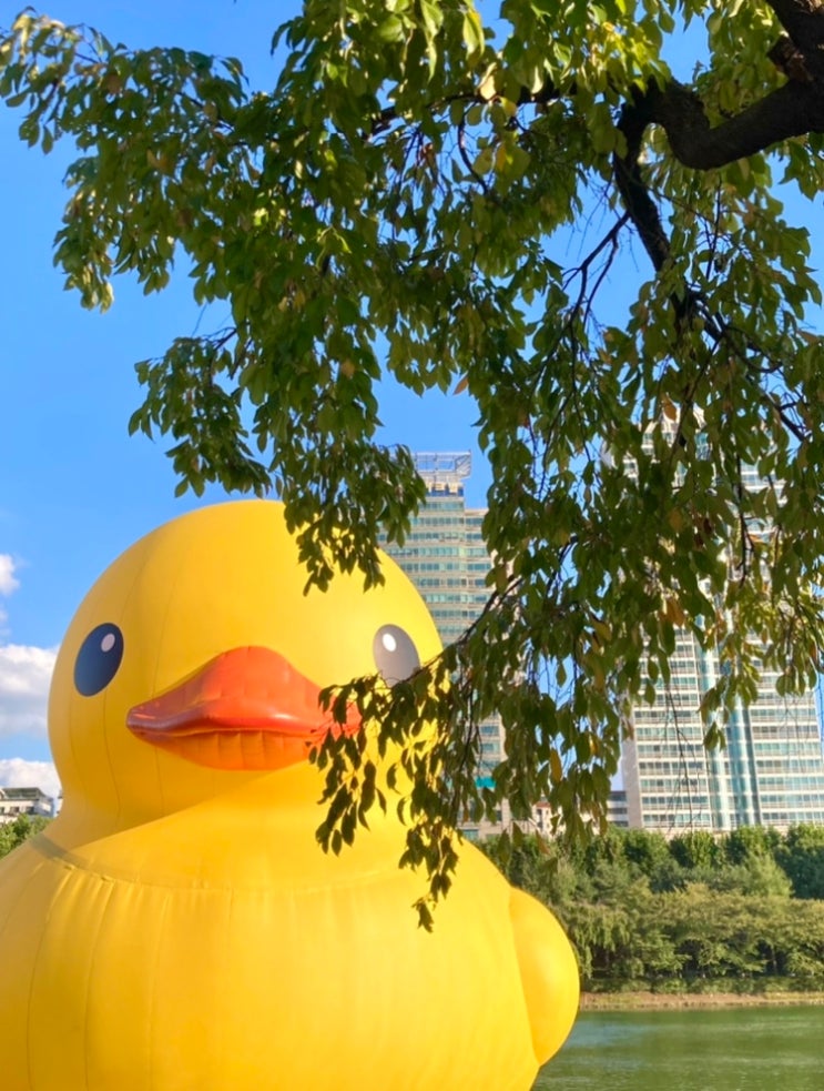 2022, 1001-1010 : 네이버 블로그