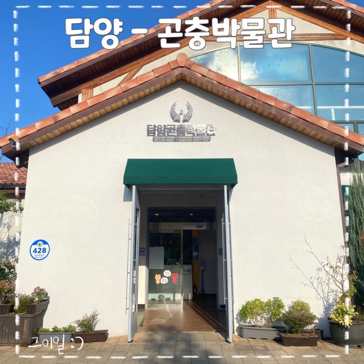 광주 근교 아이와 가볼 만한 곳 담양곤충박물관 입장료 이용시간 곤충과 파충류 체험 후기 네이버 블로그