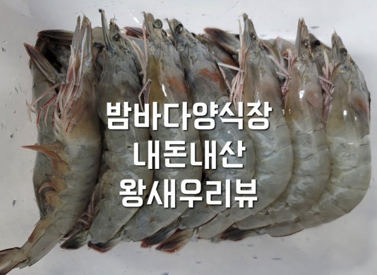 리뷰 밤바다양식장 왕새우로 새우소금구이 새우라면 새우머리버터구이 간장새우장 네이버 블로그