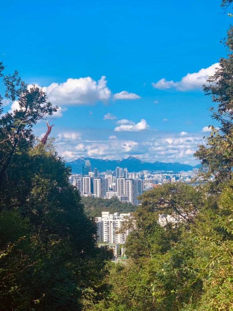 대모산 등산코스 |대모산 정상 And 서울둘레길 네이버 블로그