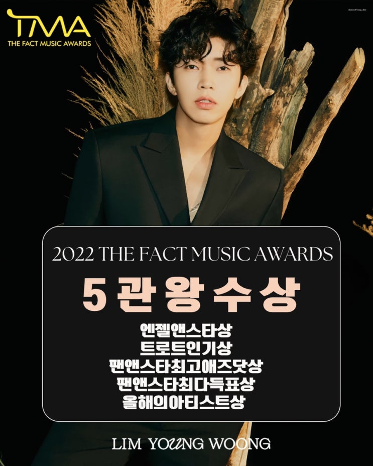 임영웅 [2022 TMA] ‘5관왕의 의미’ 현존 남성 최고 솔로 가수 : 네이버 블로그