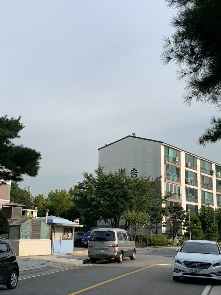 일산 백송마을 3단지 5단지 임장기 재건축 투자 네이버 블로그