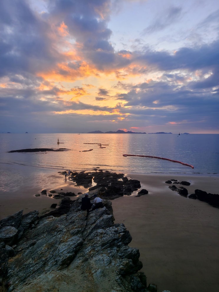 컴백 : 네이버 블로그