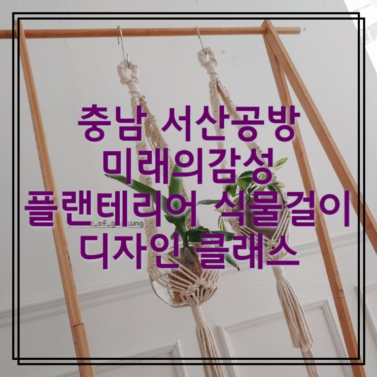 충남서산 당진공방 마크라메스튜디오 「미래의감성」 플랜트행거 디자인클래스 식물걸이 원데이클래스 감성취미 태교클래스 힐링프로그램