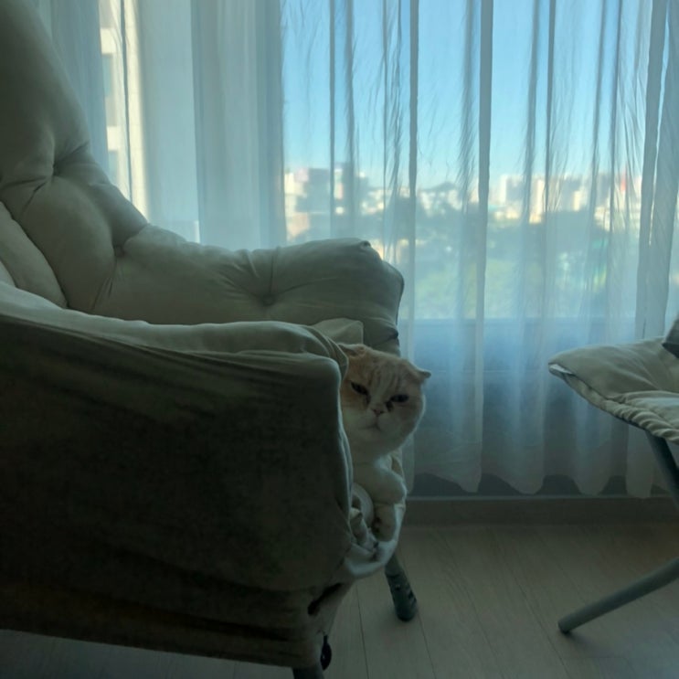 기금E든든에서 신혼부부 전세 대출 받기 2탄(HUG? HF?) : 네이버 블로그