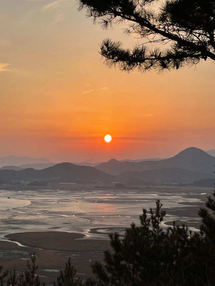 D1 순천여행 노을 맛집 순천만습지 용산전망대에서 감격의 일몰 보기 Feat 순천만국가정원 네이버 블로그