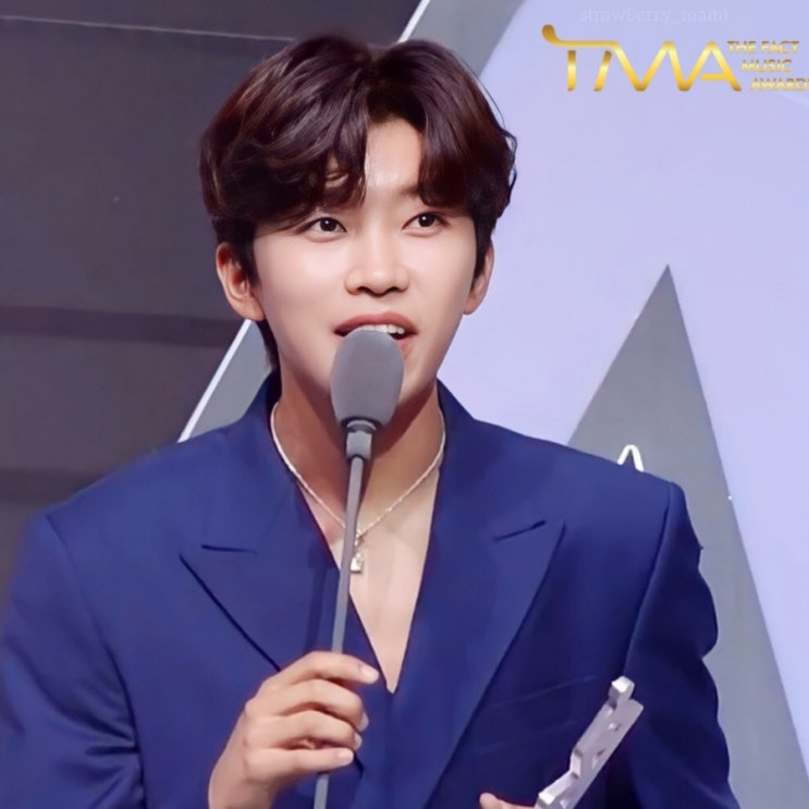 임영웅 2022 TMA 5관왕 수상 눈부시게 빛나는 히어로 : 네이버 블로그