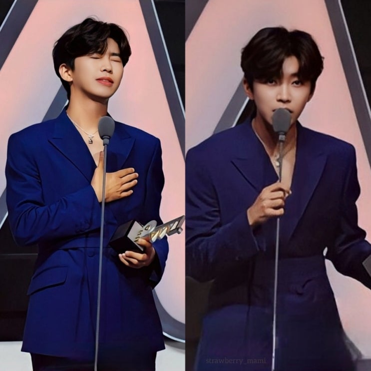 임영웅 2022 TMA 5관왕 수상소감 넘 사랑스러움😍 : 네이버 블로그