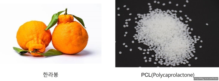 필리봇으로 한라봉 껍질과 PCL(Polycaprolactone)을 이용한 바이오 필라멘트 제작 : 네이버 블로그