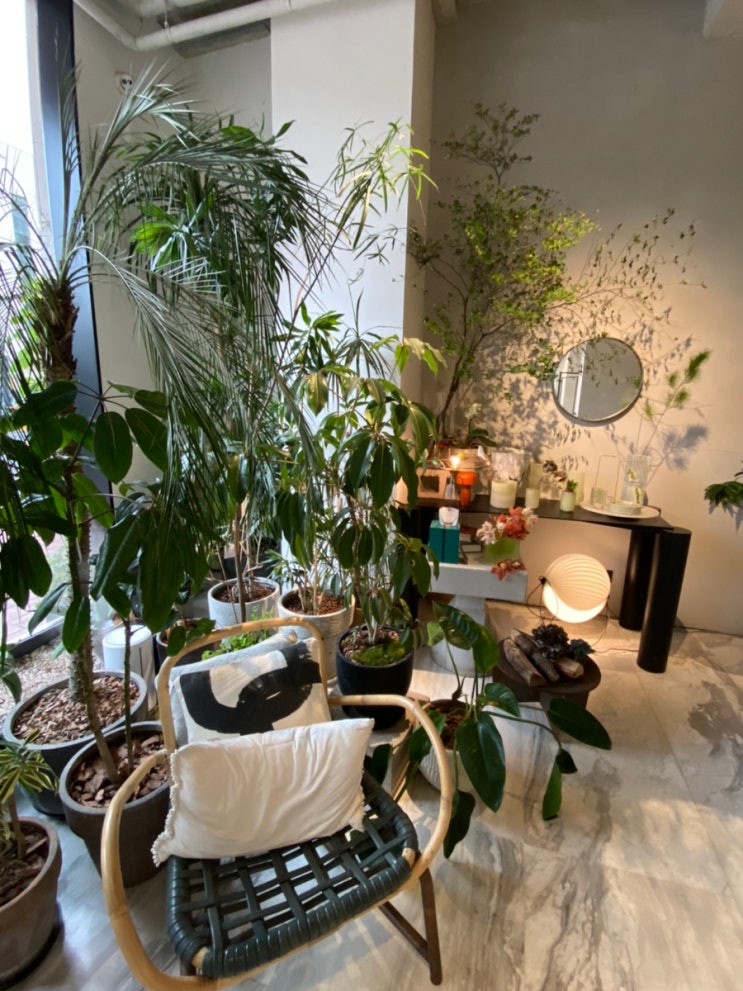 원고운경元古云境 + WS Cafe&Lounge : 네이버 블로그