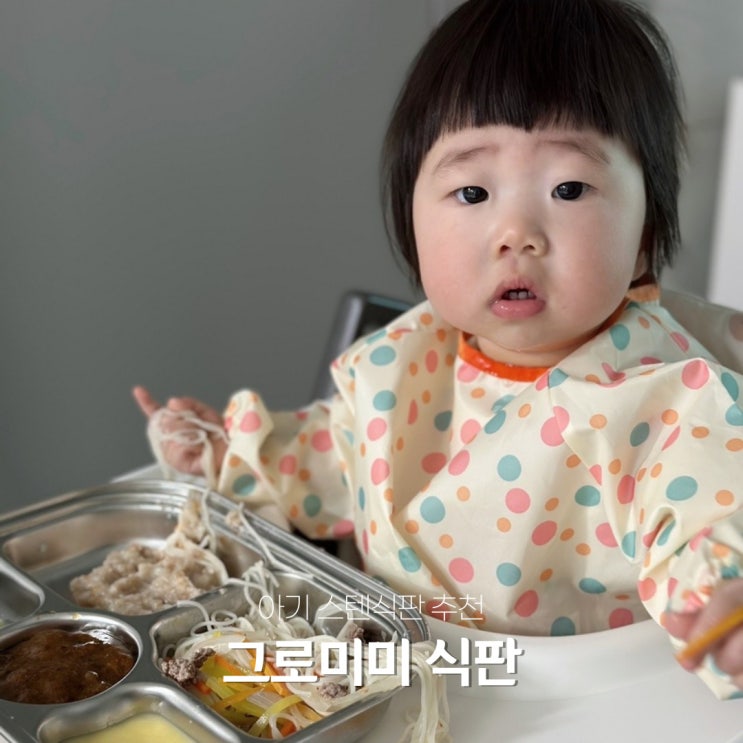 9개월 아기 스텐 식판 추천 그로미미 스테인리스 5구 흡착식판으로 이유식 다양하게 즐겨요 네이버 블로그