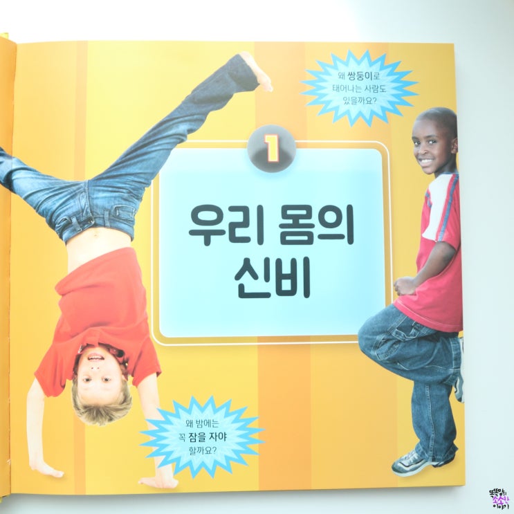 문해력과 어휘력 높여주는 백과사전 블루래빗키즈 네이버 블로그