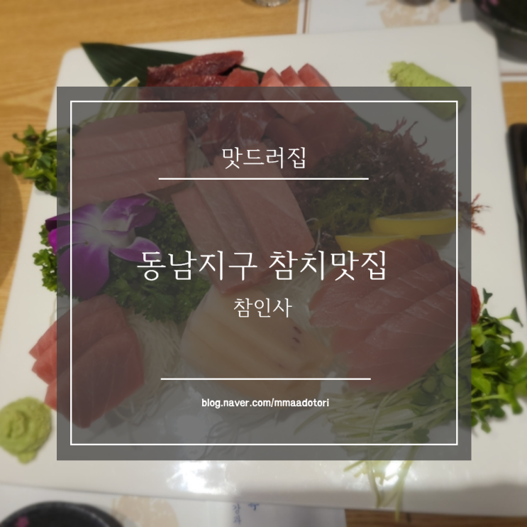 청주 용암동 동남지구 참치 추천 참치회맛집 회식하기 좋은곳 참인사 네이버 블로그