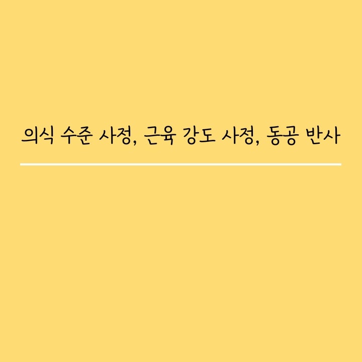 의식 수준 사정 근육 강도 사정 동공 반사 네이버 블로그