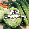 양배추 효능과 부작용 네이버 블로그