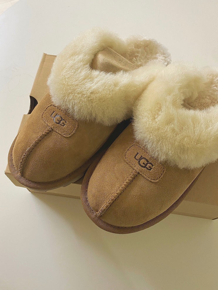 어그 Ugg 어그 코케트 슬리퍼 체스넛 색상 구입 후기 사이즈 팁착샷 미국어그호주어그 차이점 네이버 블로그