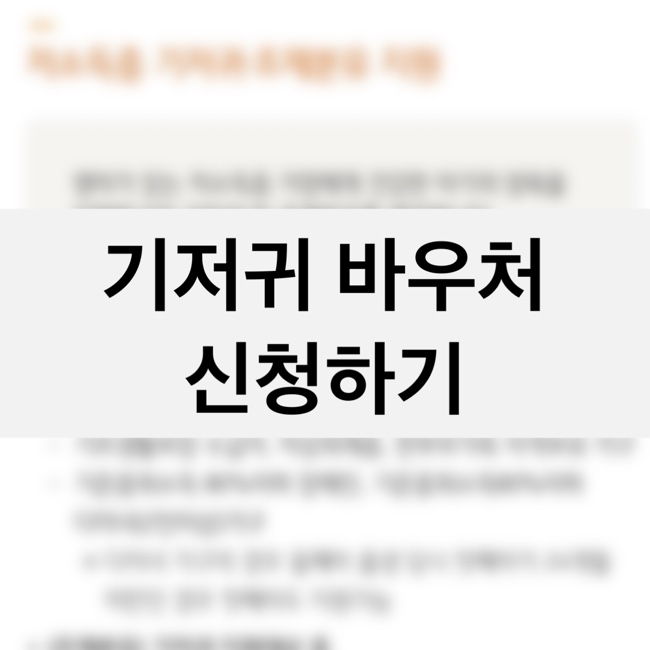 육아휴직 중 혜택 기저귀 바우처 신청 방법 구매처 결제 방법 네이버 블로그
