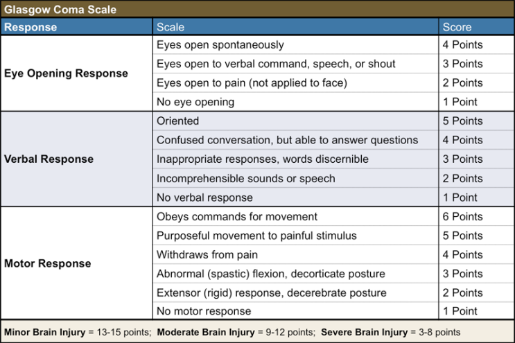 의식 수준 5단계, 글래스고 혼수 척도(Glasgow Coma Scale, GCS) : 네이버 블로그