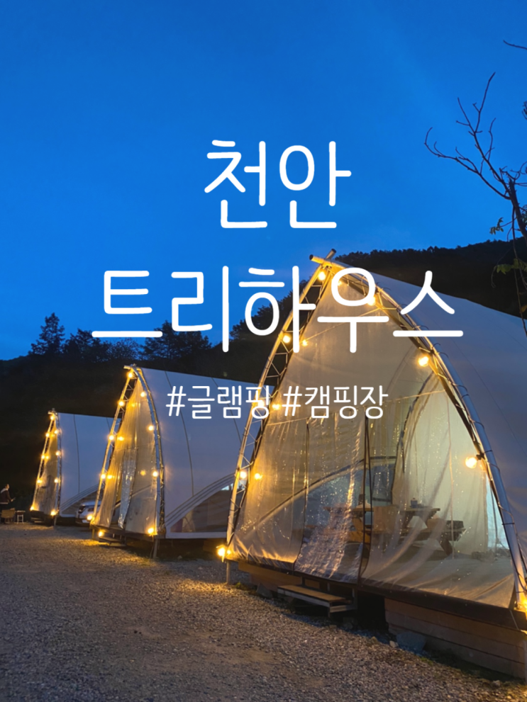 천안 트리하우스 광덕산 속에서의 힐링 글램핑 캠핑장 후기 네이버 블로그