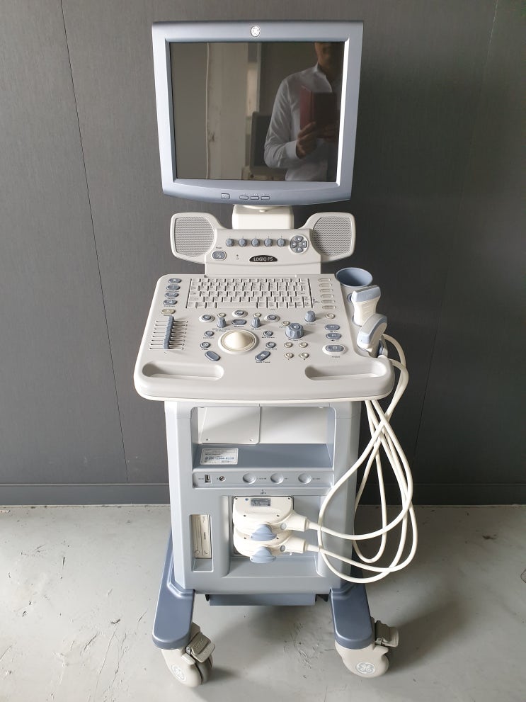 LOGIQ P5 GE : 네이버 블로그