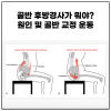 골반 후방경사pelvic Posterior Tilt가 뭐야 골반 후방경사 원인 및 교정운동 네이버 블로그