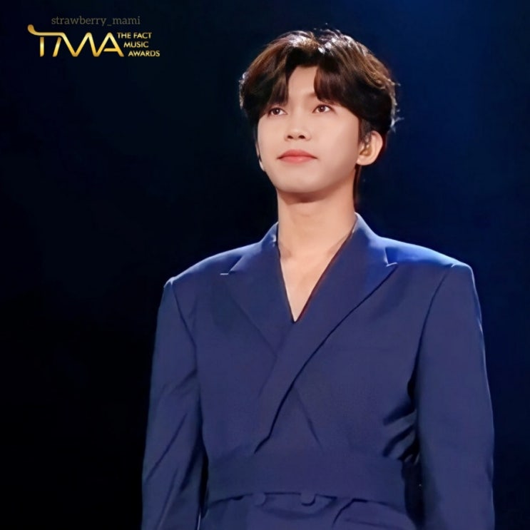 임영웅 2022 TMA 다시만날수있을까 응원해요 : 네이버 블로그