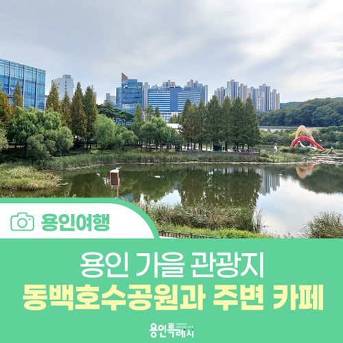 용인 여행 서포터즈가 추천하는 용인의 가을 관광지 동백호수공원과 주변 카페 네이버 블로그