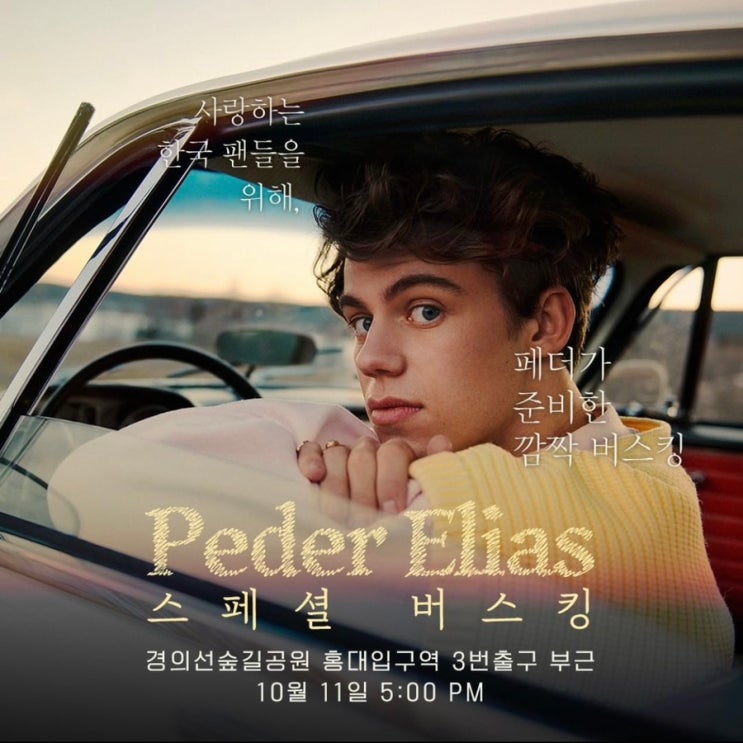 [22.10.11] 페더 엘리아스(Peder Elias) 홍대 스페셜 버스킹 - 경의선숲길공원 홍대입구역 3번출구 부근 ...