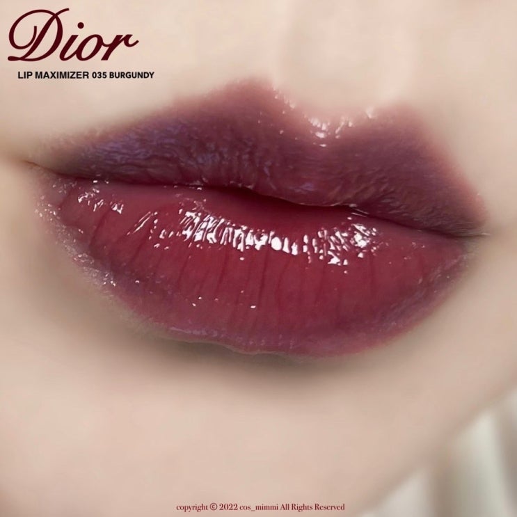 [DIOR] 디올 어딕트 립 맥시마이저 035 버건디 리뷰 / 디올 립 플럼퍼로 도톰하고 분위기 있는 립 연출하기 : 네이버 블로그