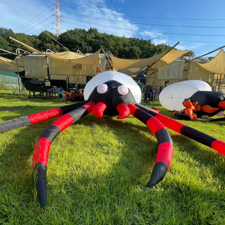 할로윈 제비실499 할로윈이벤트 추천진행순서 안내 : 네이버 블로그